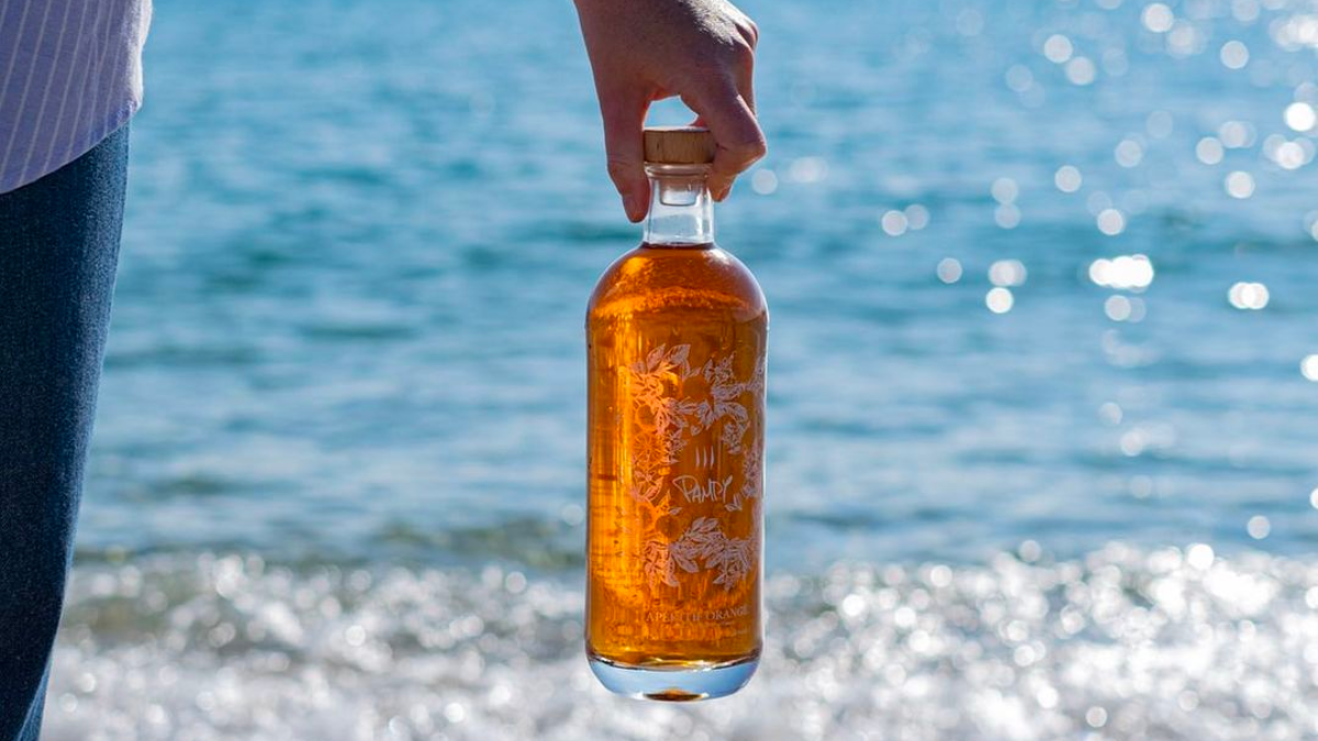 PAMPY, LA PRODUCTION DE LA CUVÉE 2023 (COMMUNIQUÉ) | BARMAG